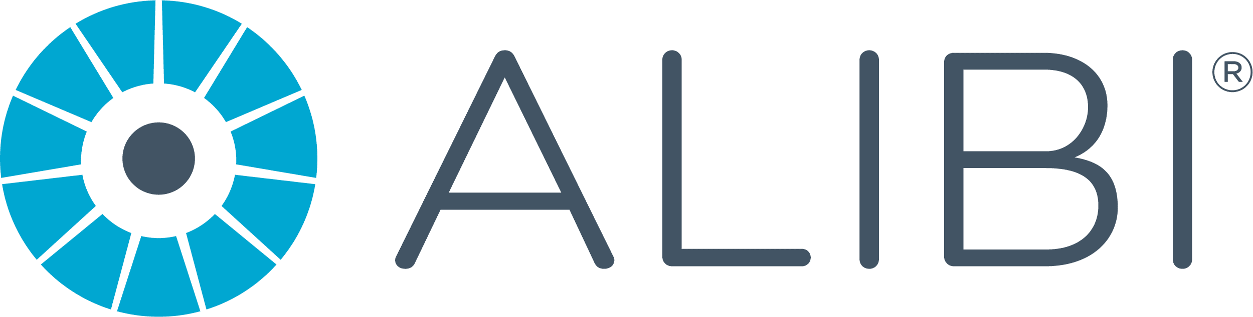 Alibi Cameras - Guardian Safe & Lock LLC